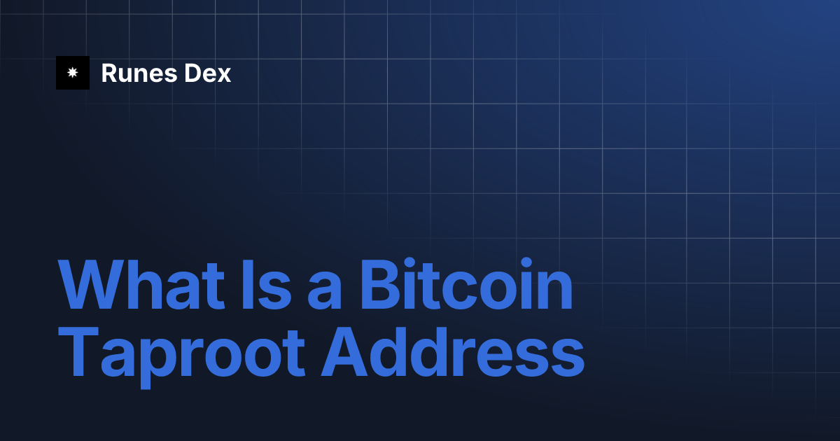 What Is a Bitcoin Taproot Address | Runes Dex